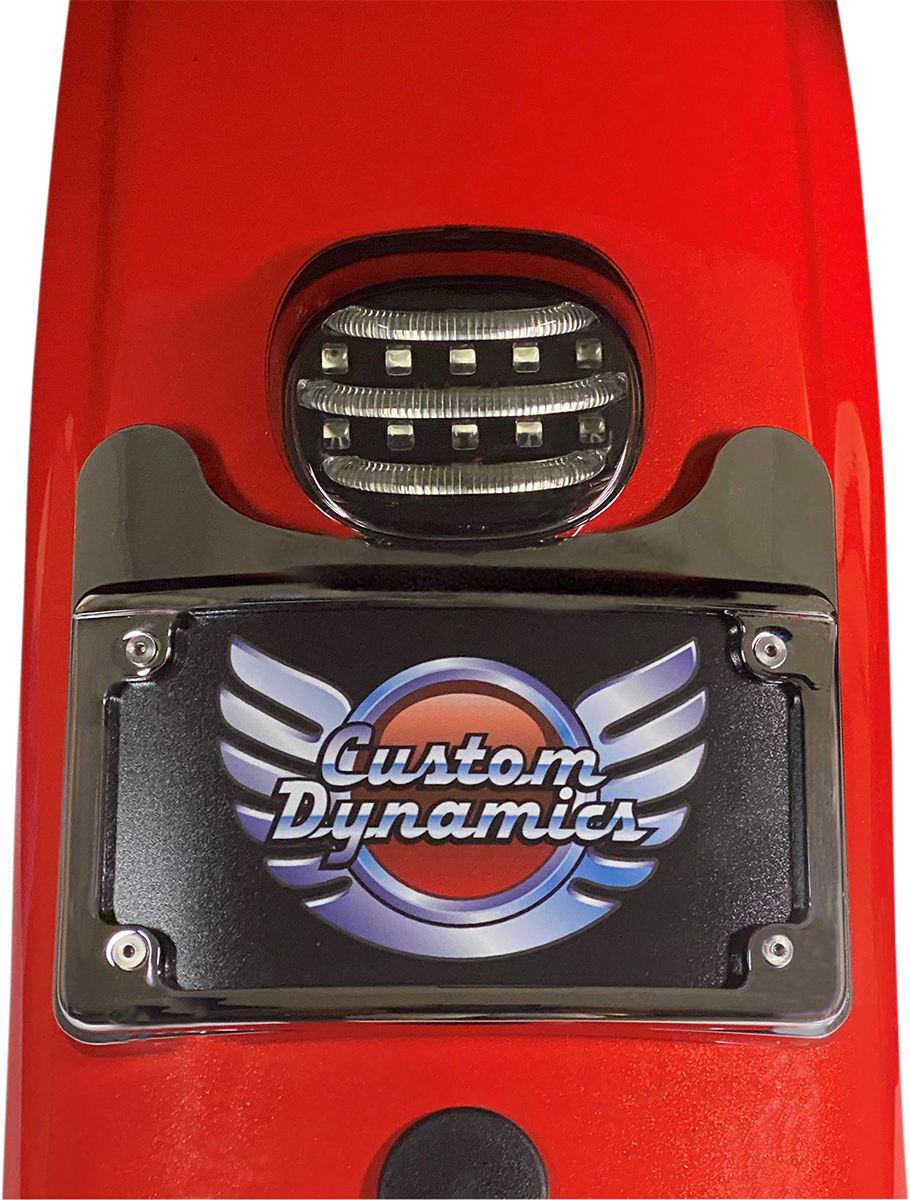 CUSTOM DYNAMICS Lighted Turn Signal Eliminator Kit - Black — Lifestyle ...