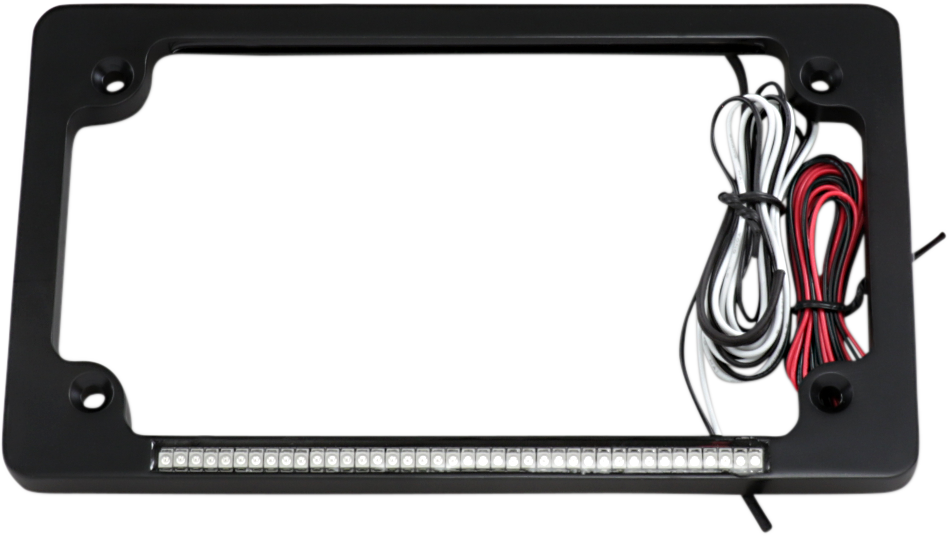 CUSTOM DYNAMICS Dual LED License Plate Frame - Flat - Black — Lifestyle ...