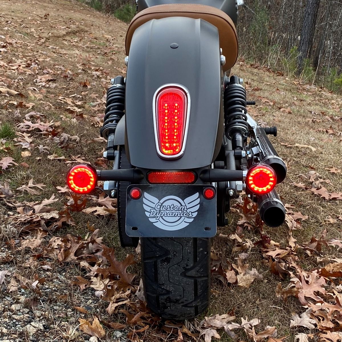 CUSTOM DYNAMICS ProBEAM® Red Ring Turn Signal LEDs - Black - Scout ...